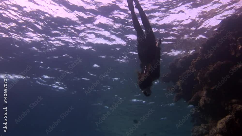 Underwater model free diver swims in clean transparent blue water in ...