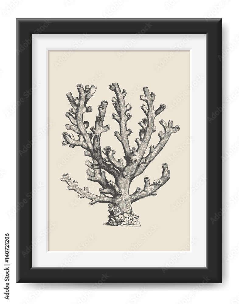 retro vector illustration: vintage drawing / engraving of a beautiful ...