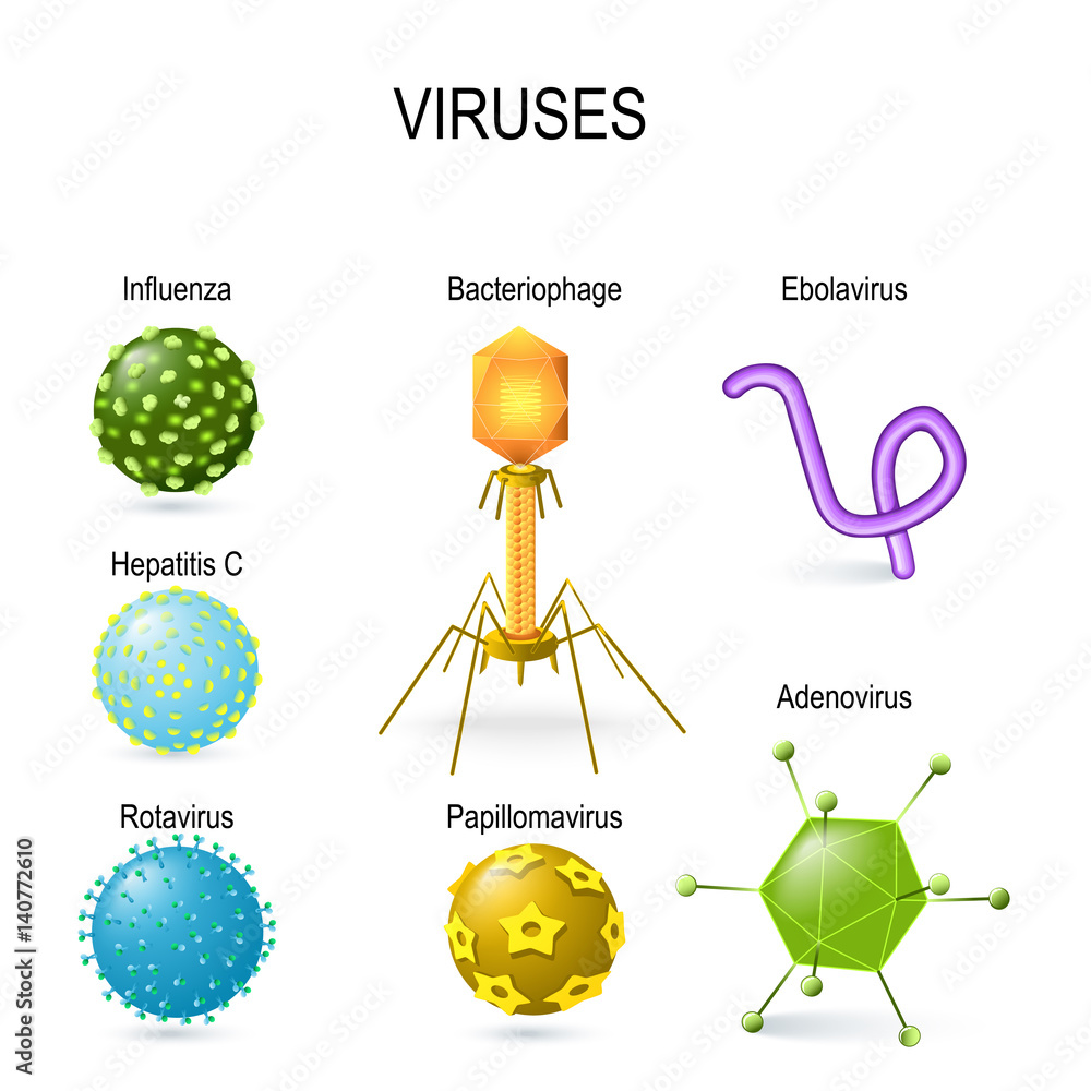 different shapes of viruses Stock Vector | Adobe Stock
