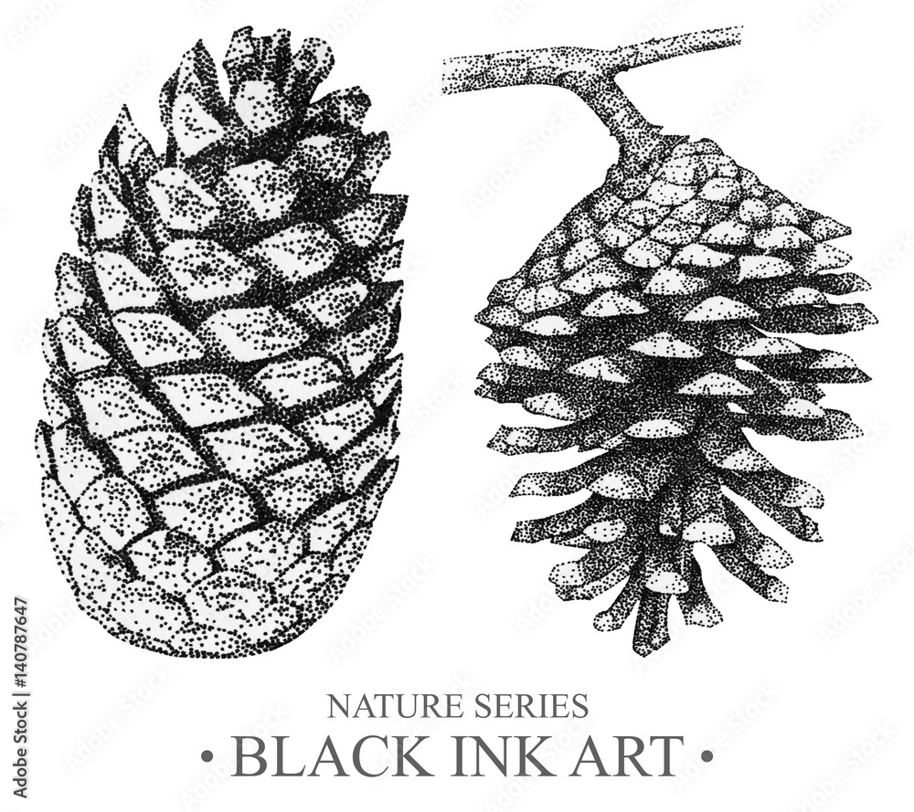 Illustration with cones drawn by hand with black ink. Graphic drawing ...