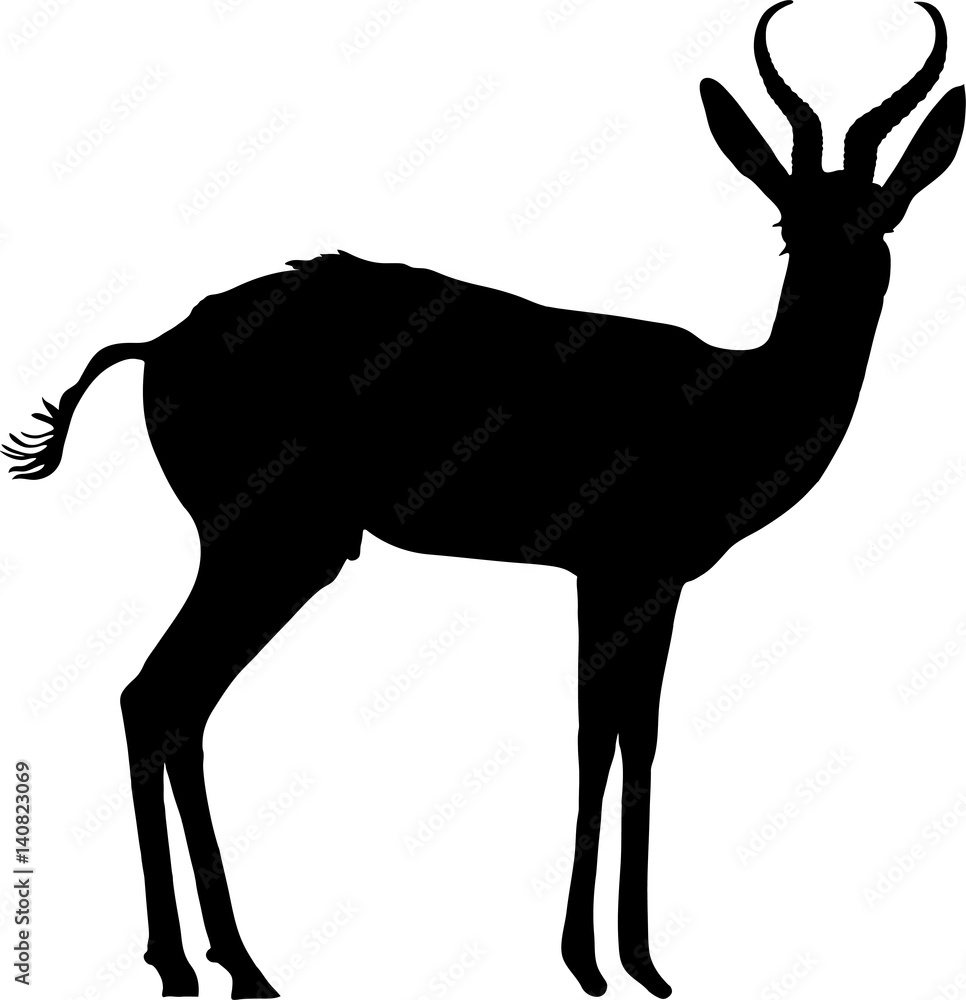 Silhouette of a standing springbok antelope - digitally hand drawn ...