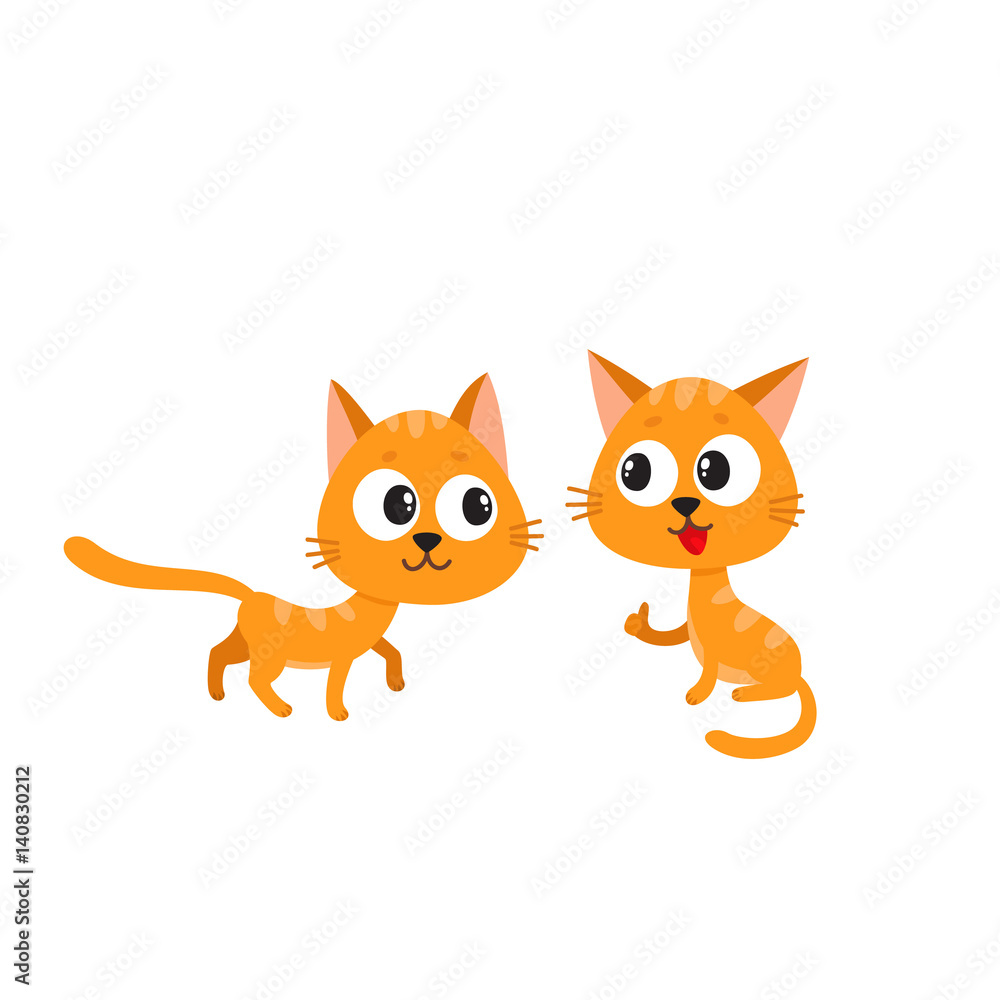Two cute and funny, naughty, playful red cat characters playing ...