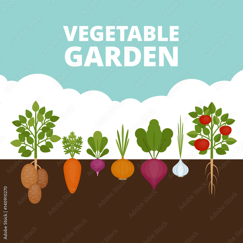 Garden Roots Clip Art