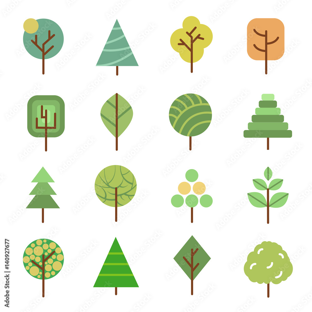 Shapes In Nature