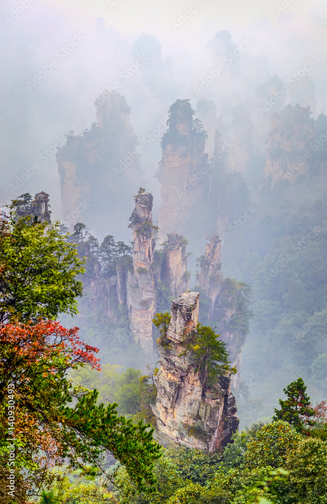 Group of rock columns mountain (Avatar rocks). Zhangjiajie National ...