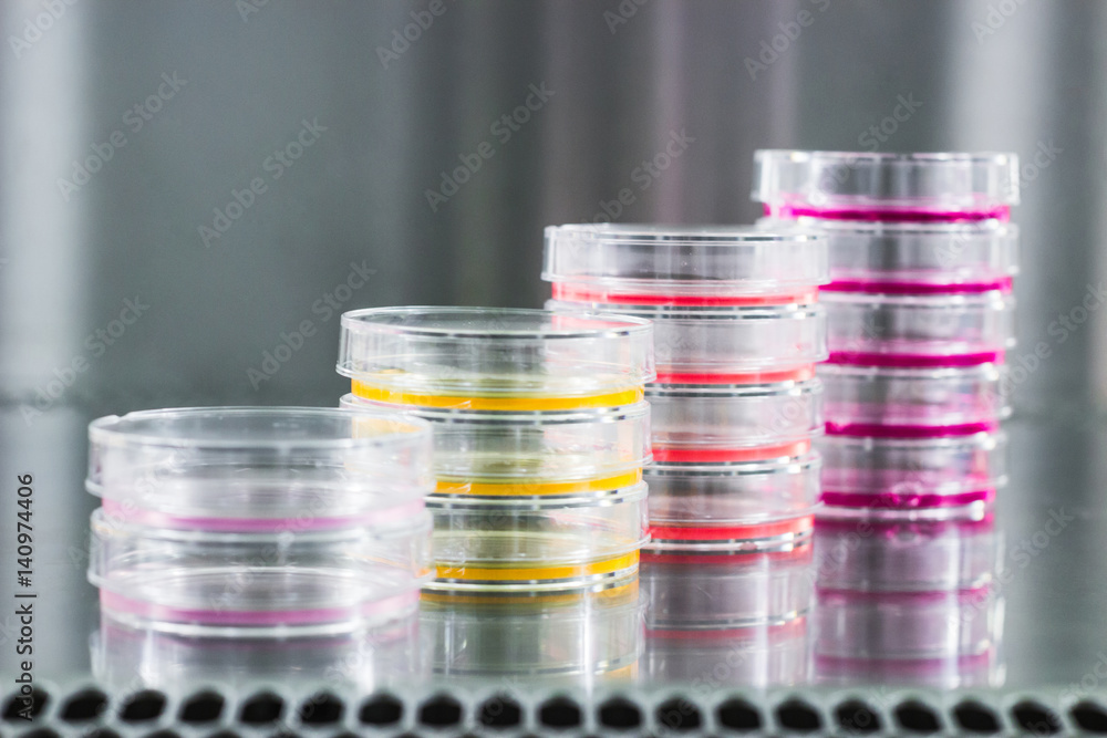 Cancer research equipment Stock Photo | Adobe Stock