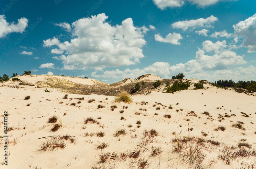 Polish desert in Slowinski park narodowy / Slowinski national park ...