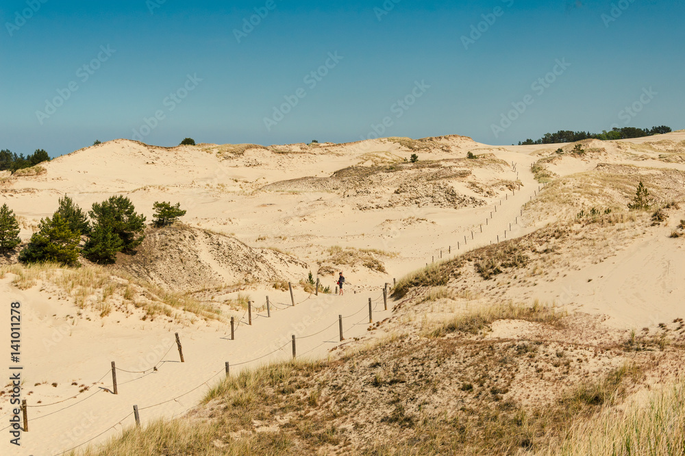 Polish desert in Slowinski park narodowy / Slowinski national park ...