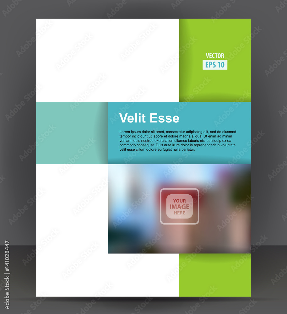 Flyer Brochure Cover Layout Design Print Template Pamphlet Vector Illustration Stock Vector