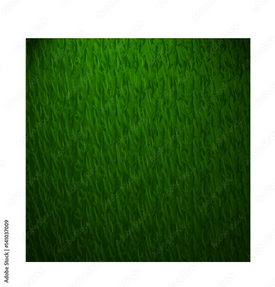 Beautiful green vector grass texture Stock Vector | Adobe Stock