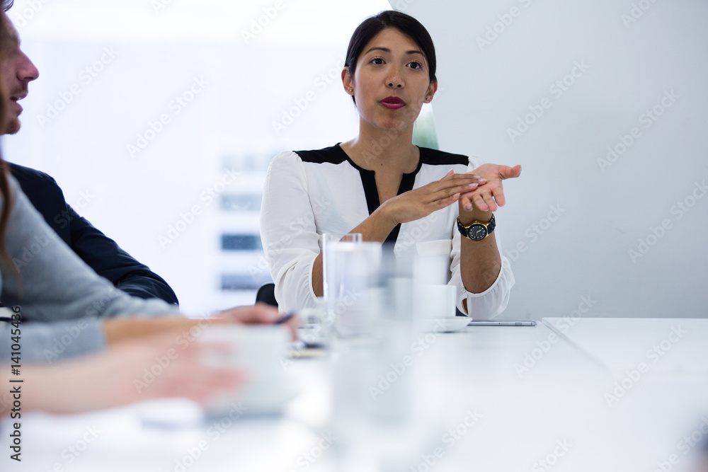 Female director leading a business meeting Stock Photo | Adobe Stock