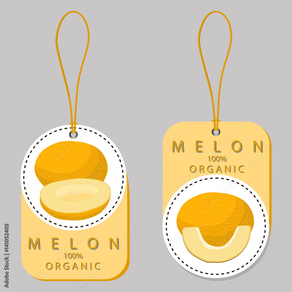 Vector illustration logo for whole ripe fruit yellow melon,cut half ...