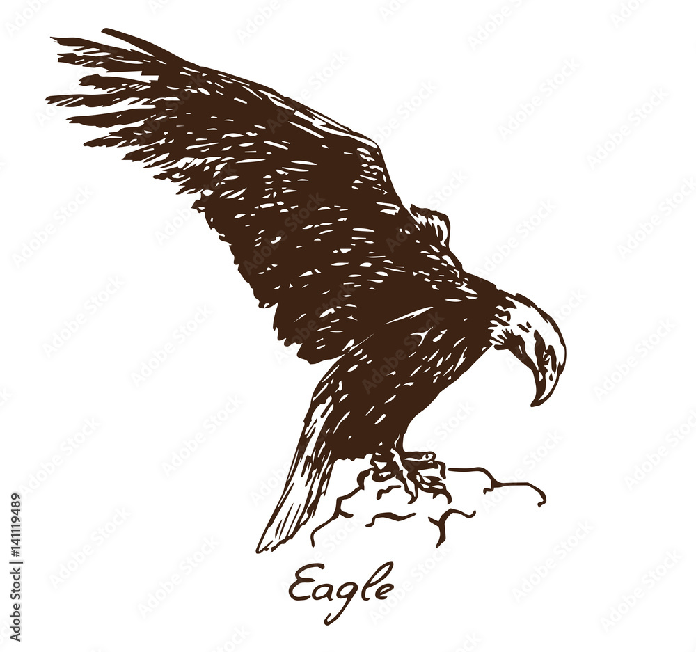 Eagle sitting on the rock, with inscription, hand drawn doodle, sketch ...