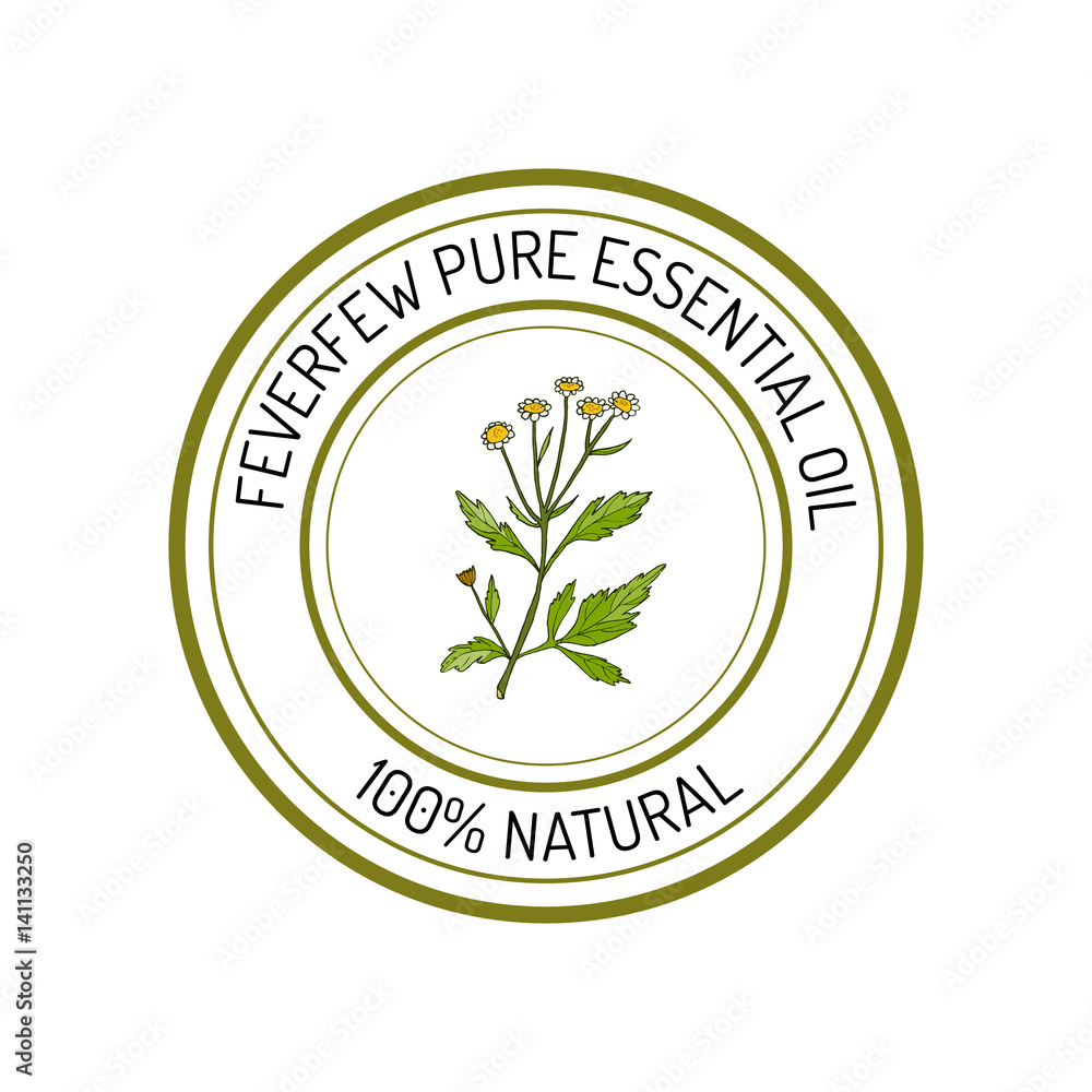 Feverfew, essential oil label, aromatic plant Stock-Vektorgrafik ...