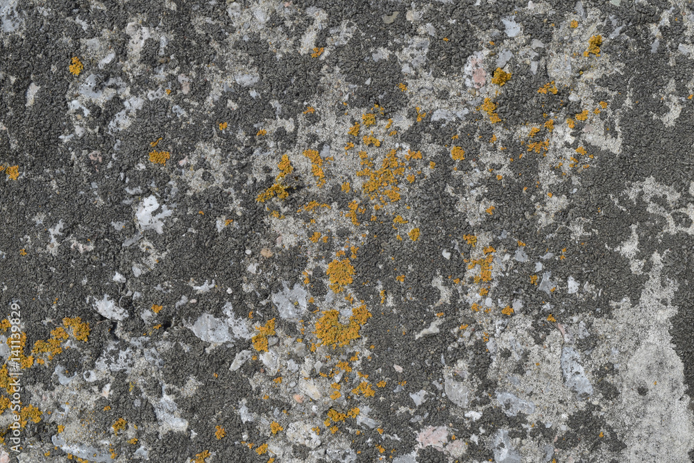 Concrete with rust and lichen background texture Stock Photo | Adobe Stock