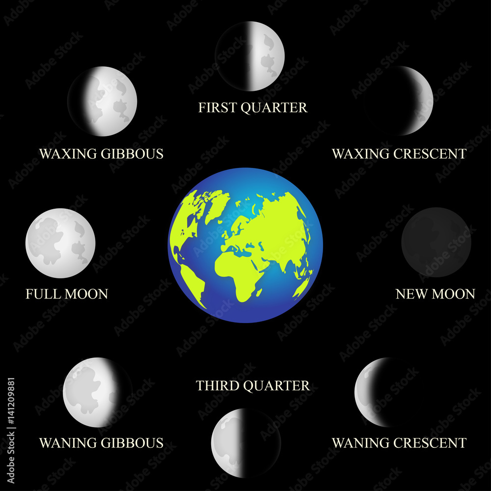 Basic phases of the moon. Stock Vector | Adobe Stock
