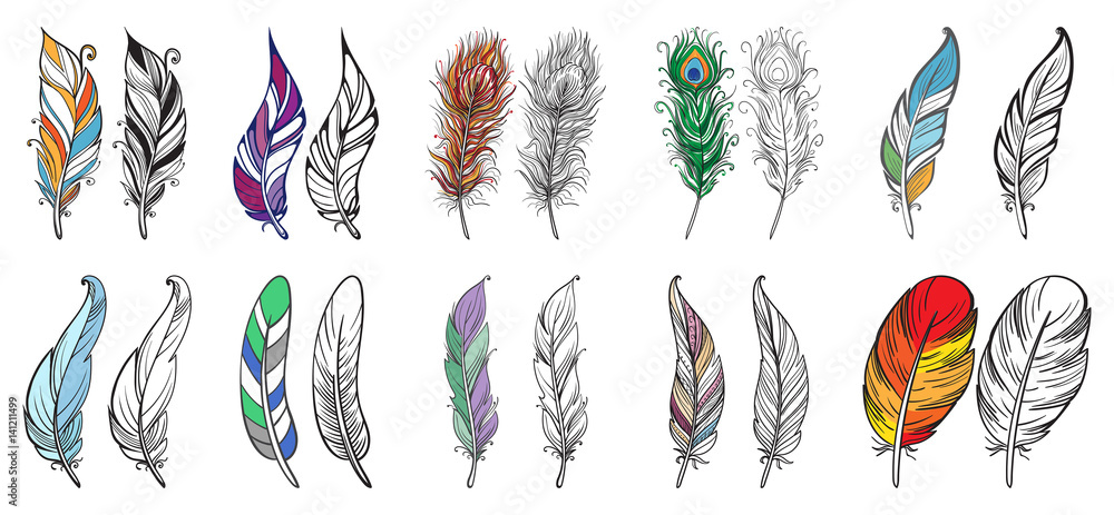 Colorful detailed bird feathers, watercolor design set. Hand drawn ...
