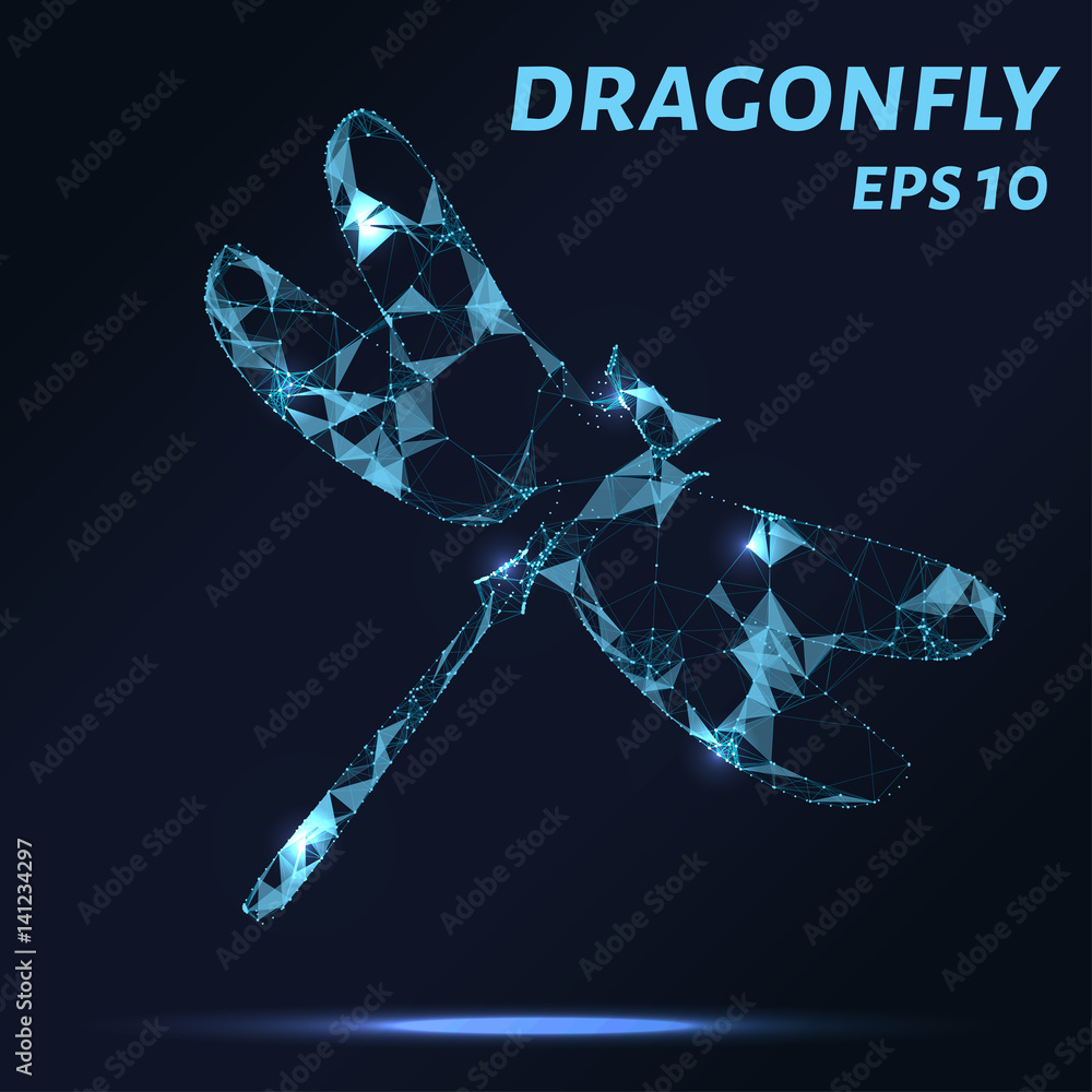 Dragonfly consists of points, lines and triangles. The polygon shape in ...