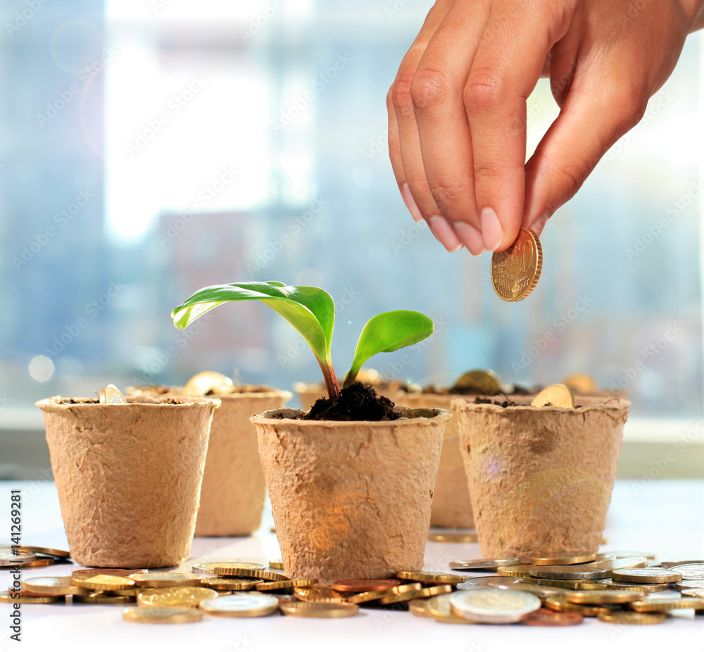 Money tree Stock Photo | Adobe Stock