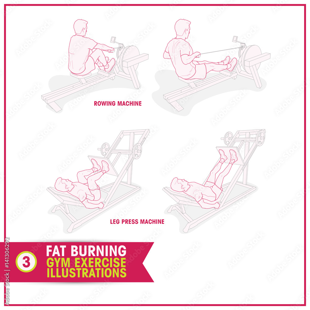 Fat Burning Training exercises illustrations Stock Illustration | Adobe ...