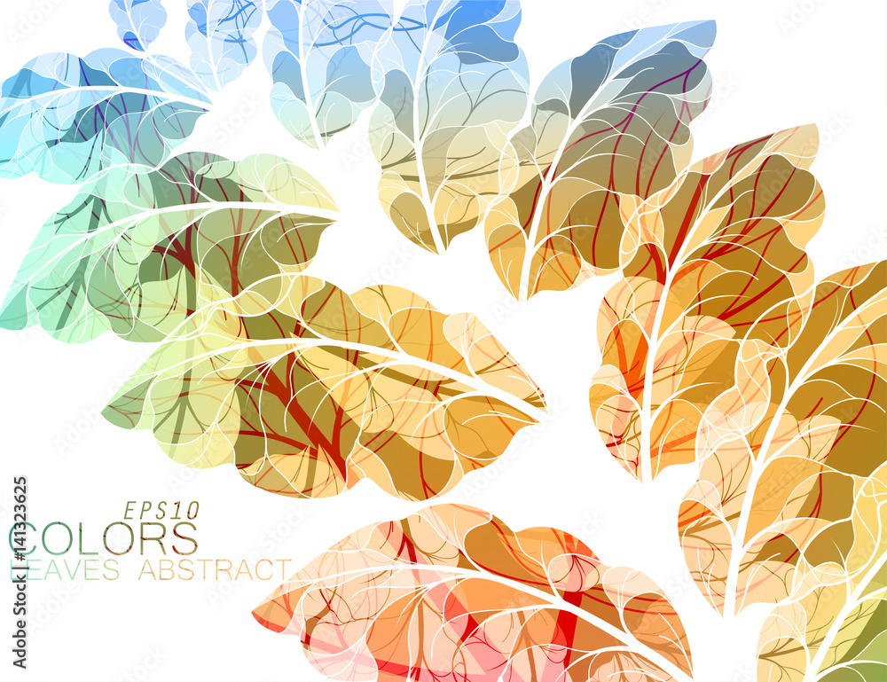 Translucent leaves scene vector abstract art nature on a white ...