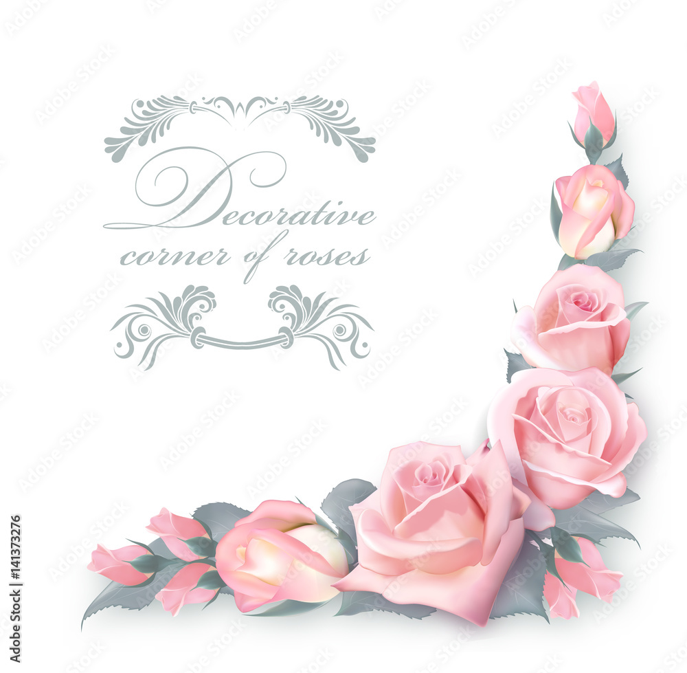 Vector corner background with pink roses and green leaves. Stock Vector ...