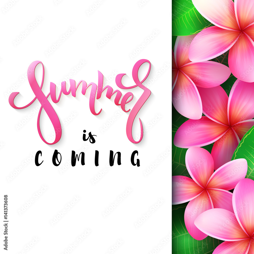 vector illustration of hand lettering poster - summer is coming with ...
