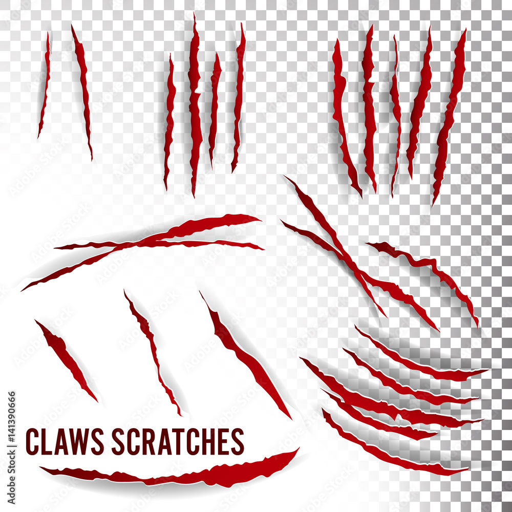 Claws Scratches Vector. Transparent Background. Realistic Illustration ...