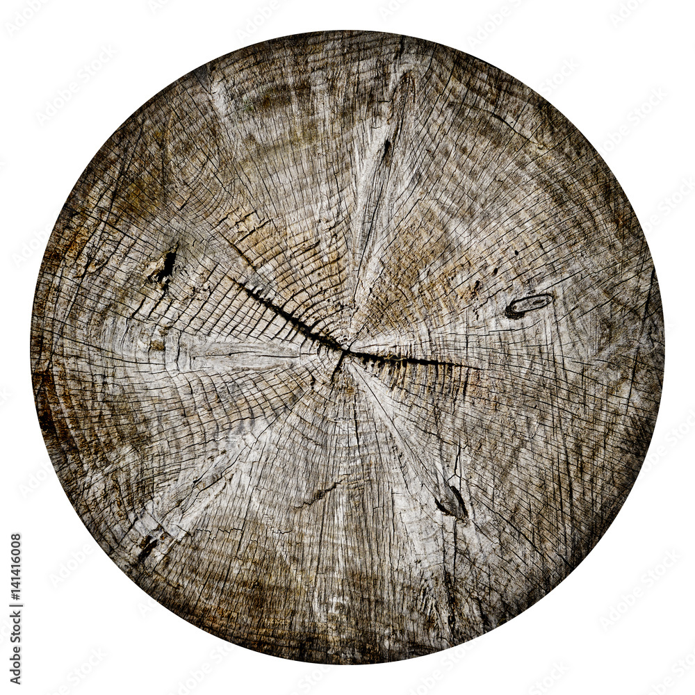 Wooden stump isolated on the white background. Round cut down tree with ...