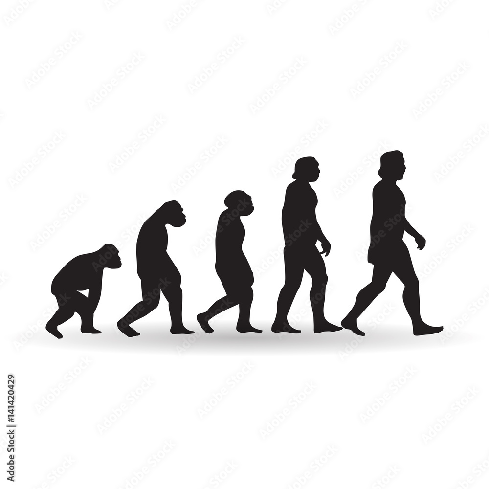 Human evolution. vector illustration Stock Vector | Adobe Stock