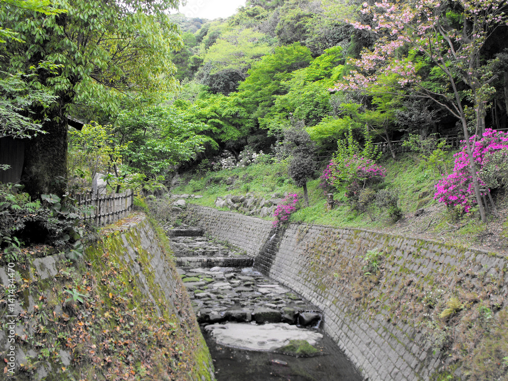 Graceful centuries old stone paved waterway in the Sengan En Japanese ...