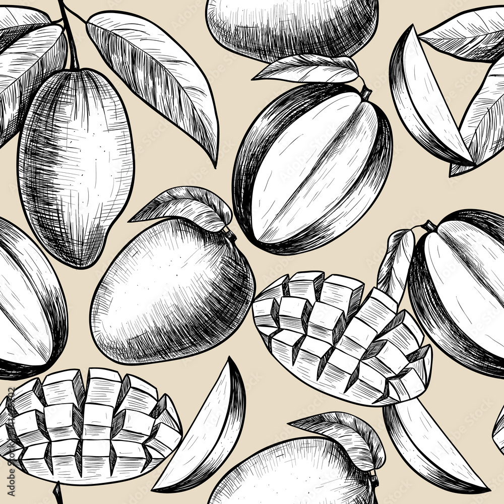 Vector mango hand drawn sketch . Sketch vector food illustration ...