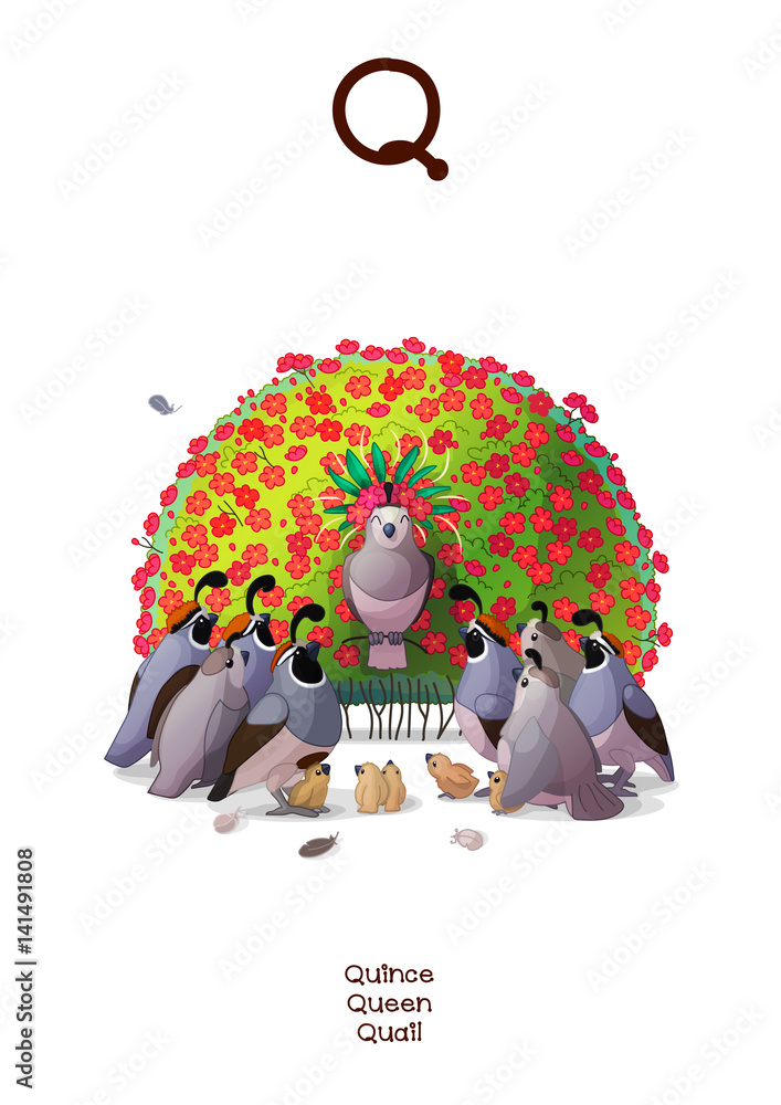 English Alphabet series of Amusing Animals letter Q Stock Vector ...
