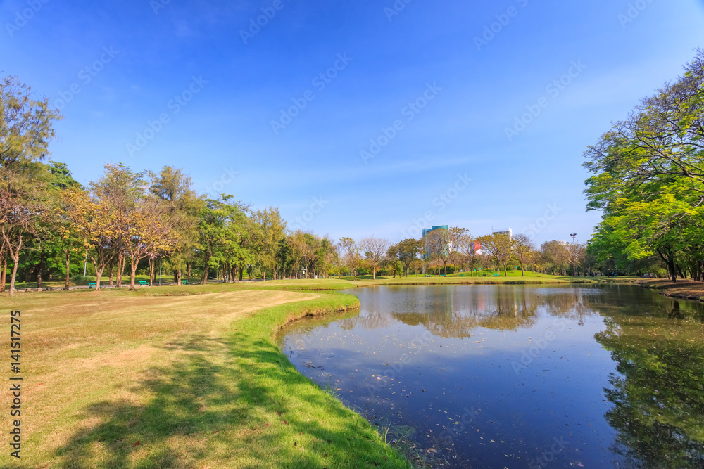 Beautiful park scene in public park with green grass field, Stock Photo ...