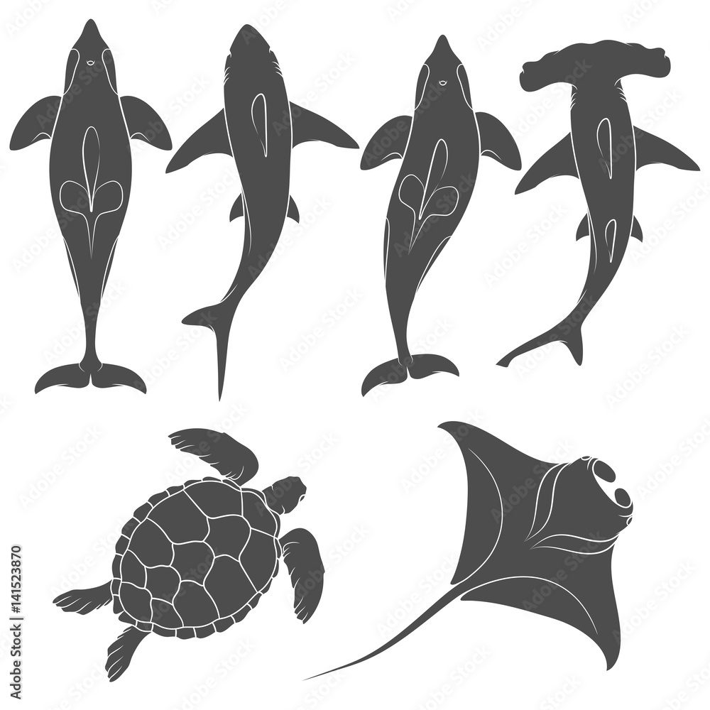 Set of images with marine animals. Vector black and white isolated ...