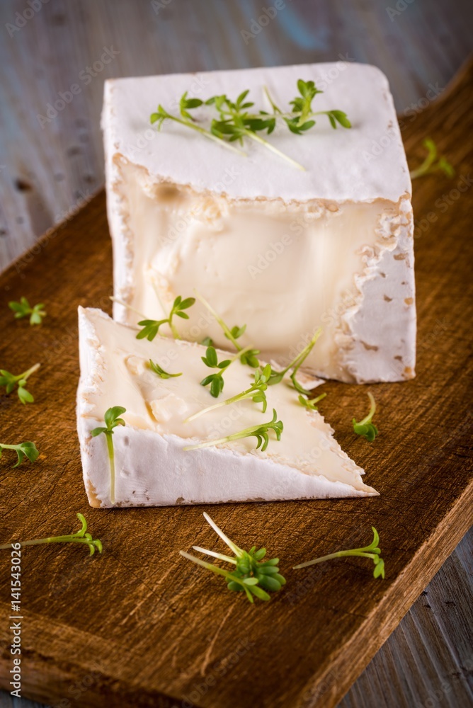 Unusual Camembert cheese with cube shape and spilled green cress around ...