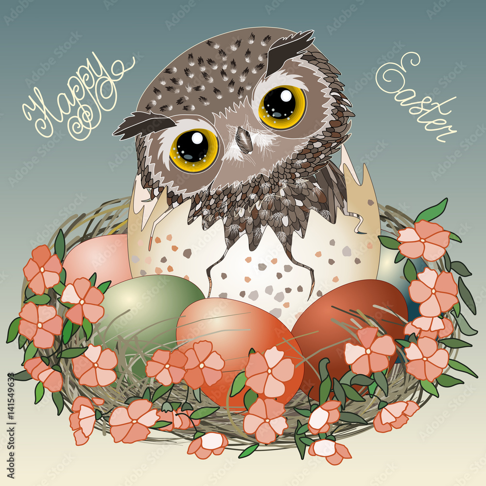 Owl Egg Illustration