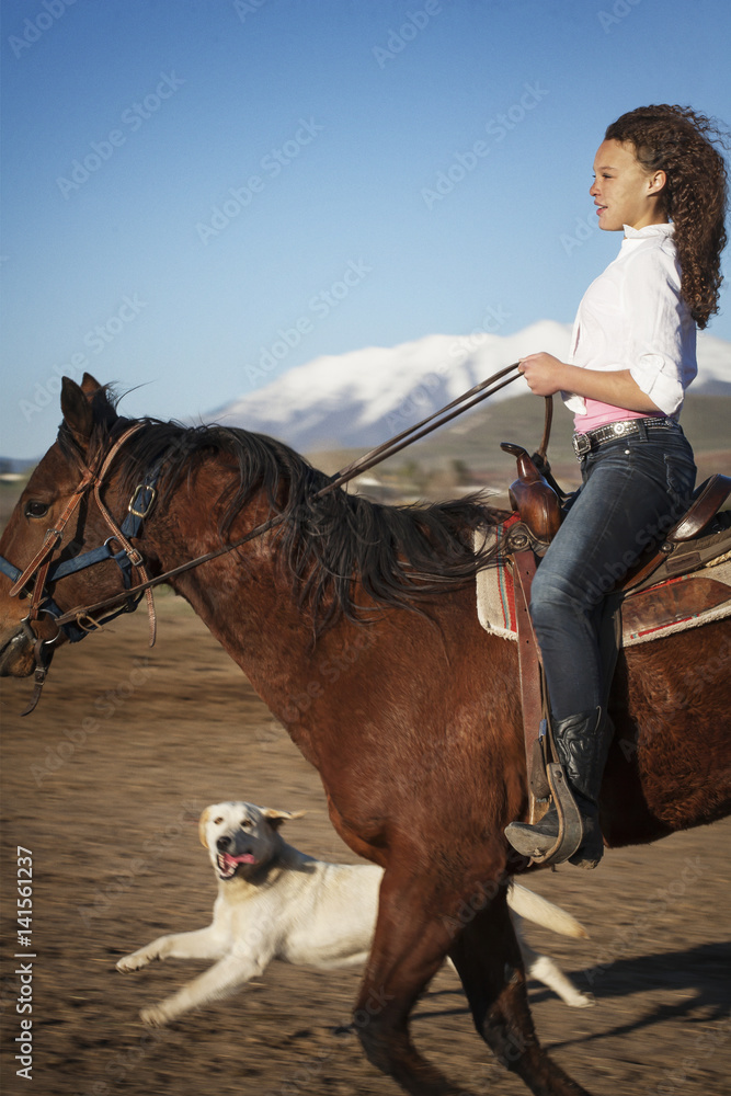 Dog Riding A Horse