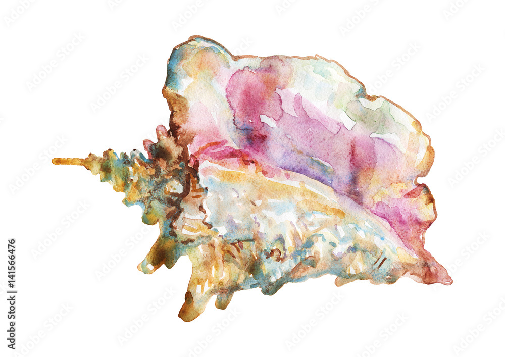 Watercolor seashell. Colorful pearl shell on white background. Hand ...
