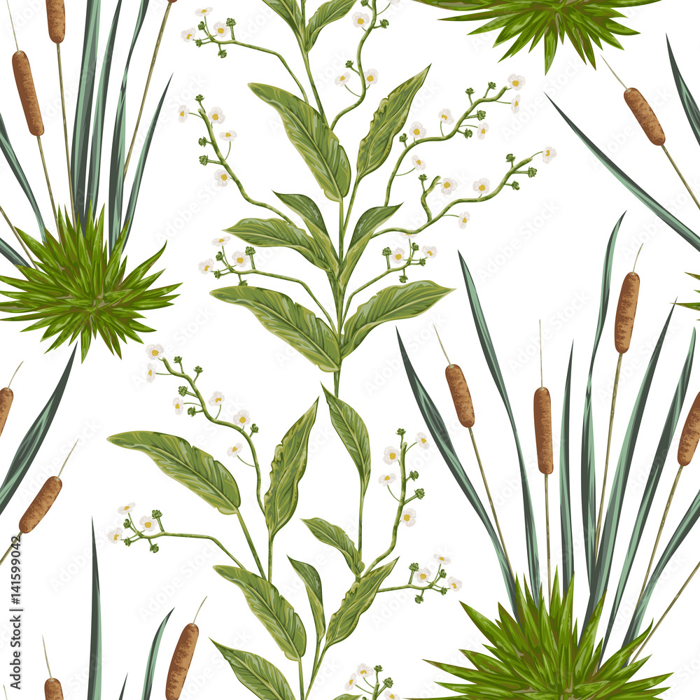 Seamless pattern with bulrush and swamp plants. Vintage hand drawn ...