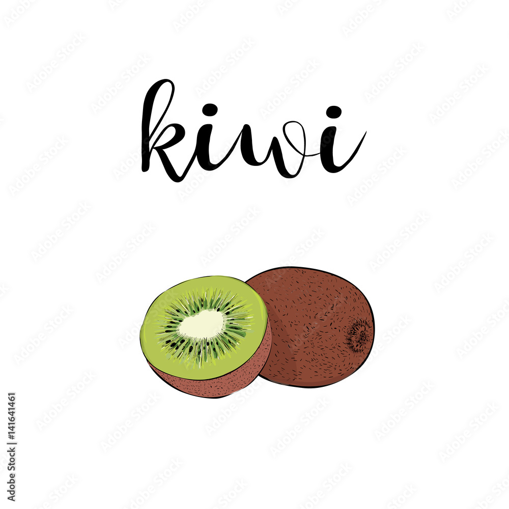 Kiwi fruit color vector illustration with calligraphic inscription text ...