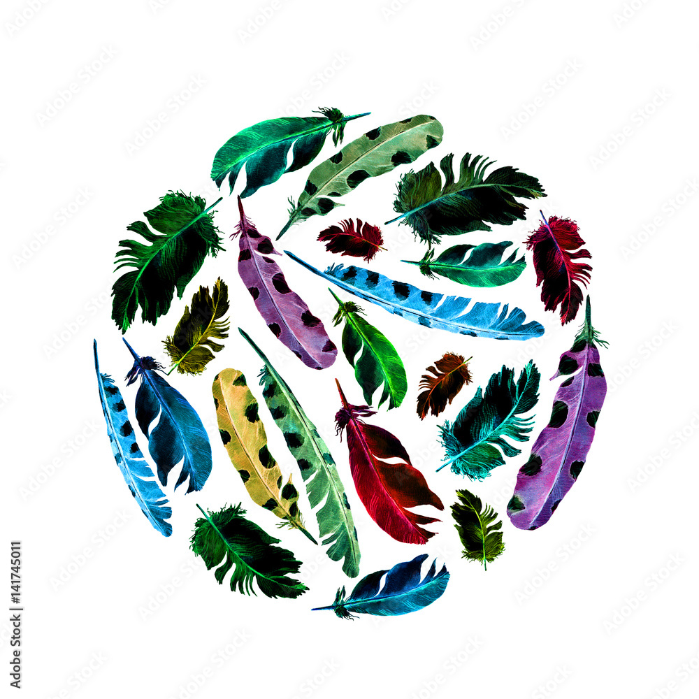 Feathers. Circle pattern on black background. Watercolor Stock ...