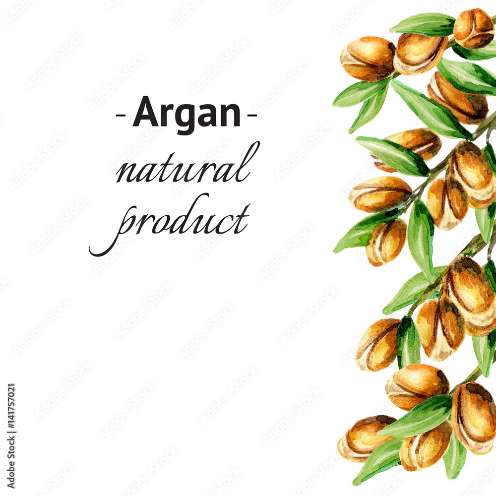 Argan vertical template. Watercolor background Stock Illustration ...