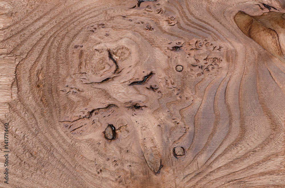 Treated wood background, striped wood texture, freshly-colored elm ...