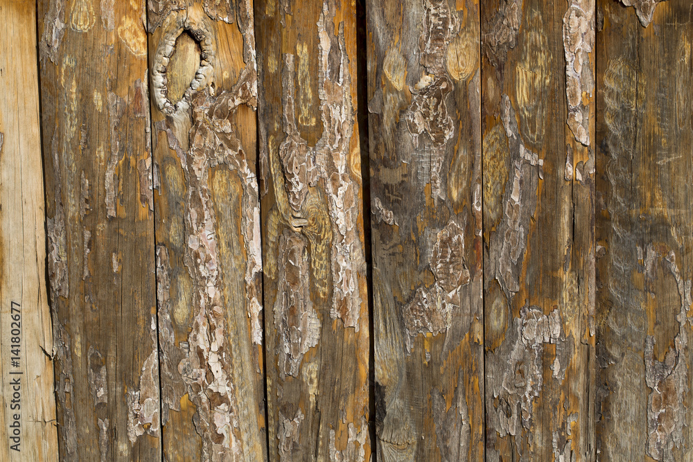 Texture Stock Photo | Adobe Stock