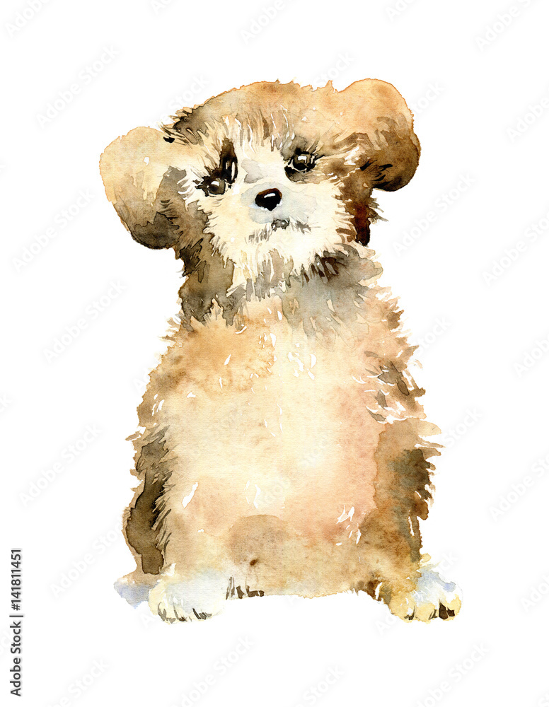 Watercolor cute puppy on white background Stock Illustration | Adobe Stock