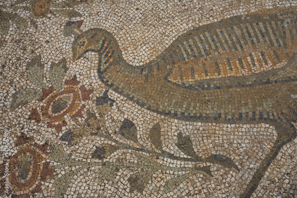 Poster Carthage / mosaïque / Site classé UNESCO / Tunisie – Wall Art ...