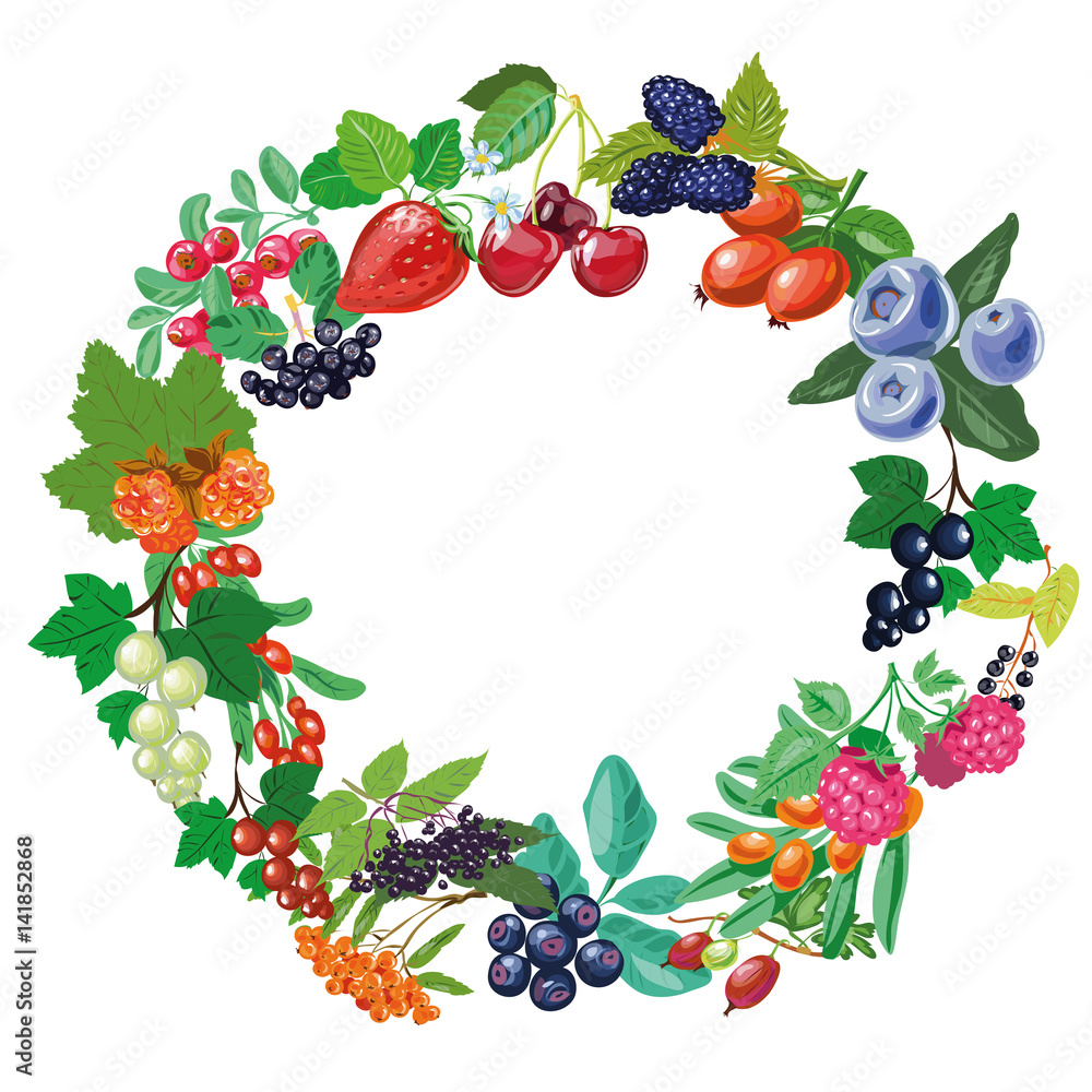 Berry frame. Twigs and berries. Isolated vector object on white ...