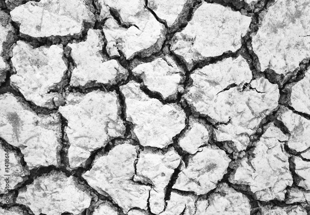 Poster arid ground texture – Wall Art | UkPosters