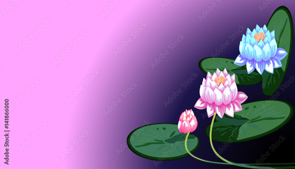 the Lotus flower ,banner ,label . Vector illustration. Stock Vector ...